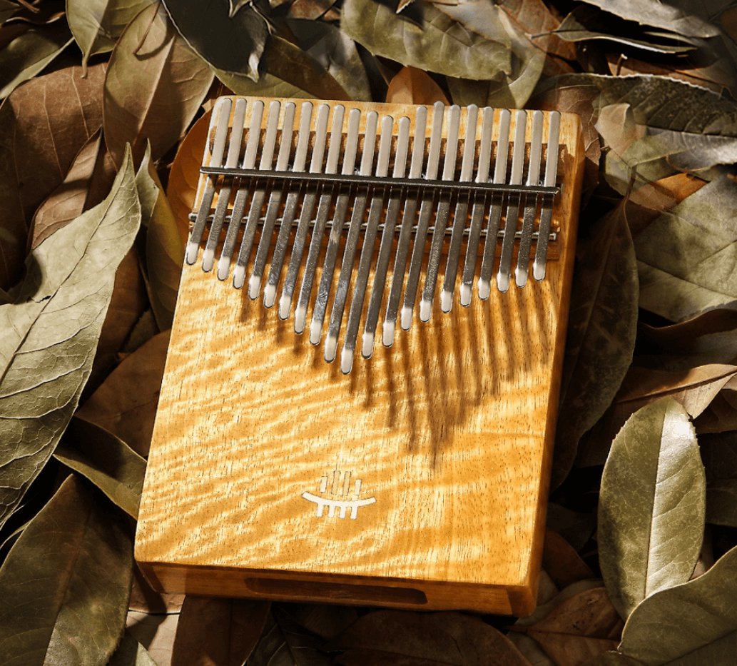 Advanced Kalimba – Shakala Musical Instrument